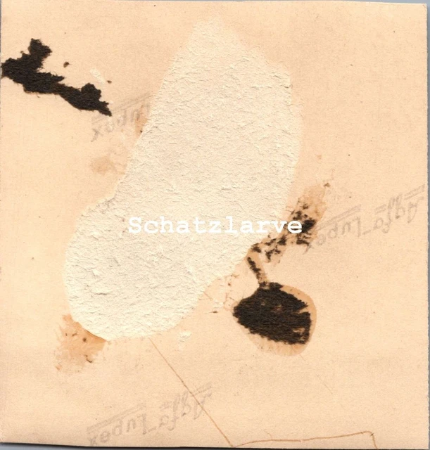 FOTO PANZER GR. Afrika (DAK), Sallum Ägypten 1941 (MJ-42)1025 EUR 3,50 ...