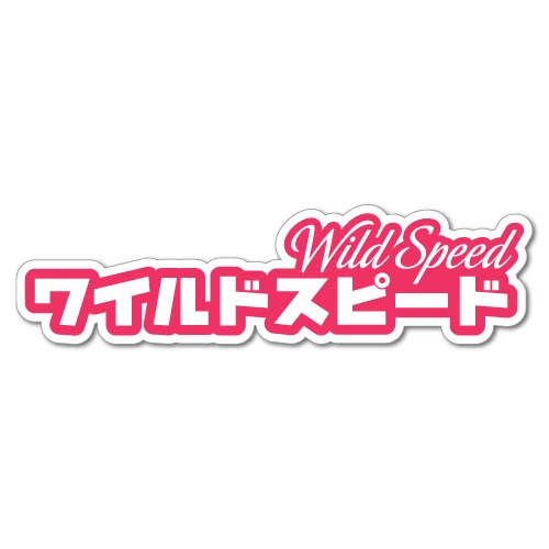 WILD SPEED JAPANESE Sticker Decal JDM Car Drift Vinyl Funny Turbo ...