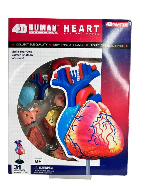 4D HUMAN HEART Anatomy Model 31 Parts With Stand & Assembly Guide NEW ...