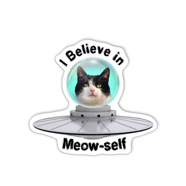 ALIEN CAT I Believe In Meow Self Meme Cat Love Sience Stickers $8.82 ...