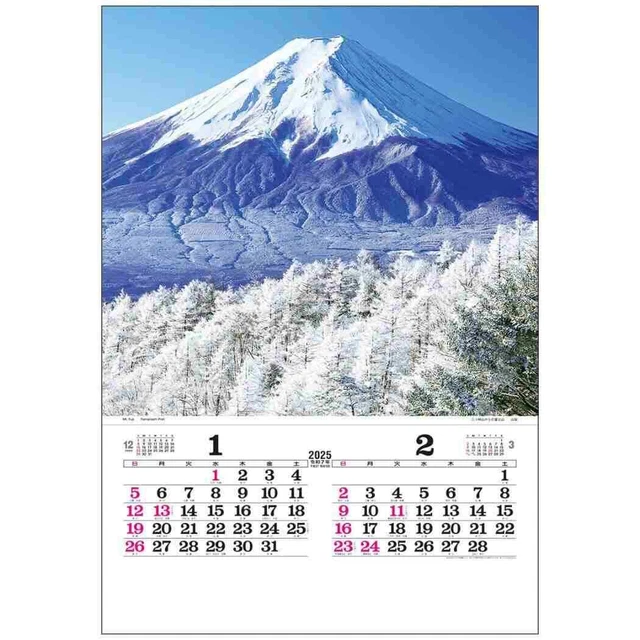 TOHAN DX JAPANESE Scenery 2025 Calendar Wall Film Photo Todan Interior ...