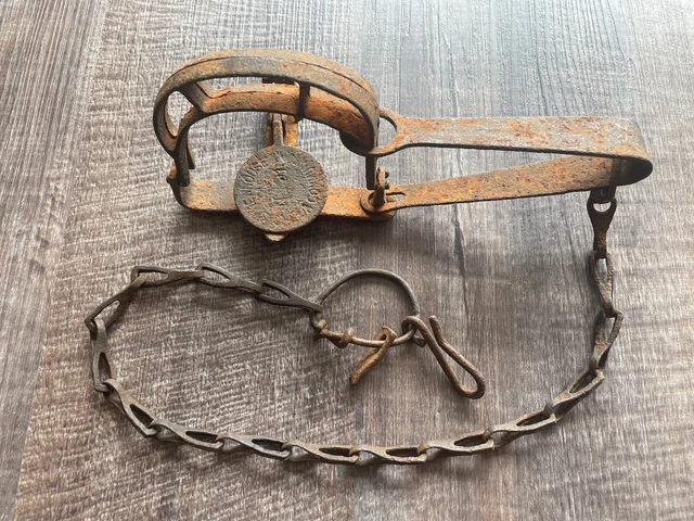 #91 NEWHOUSE TRAP with chain and ring UNCLEANED fully functioning $1.00 ...