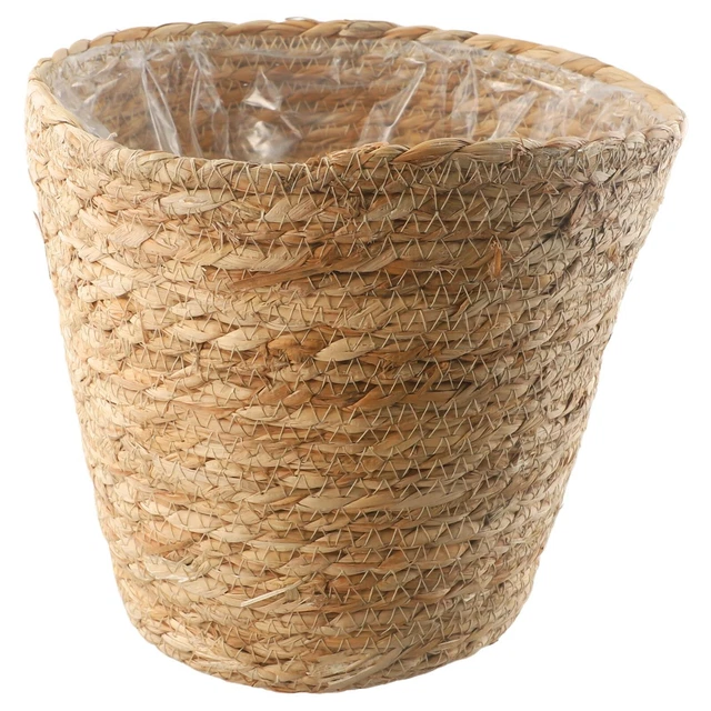 SOLUTION DE RANGEMENT domestique fonctionnelle pour herbiers marins ...