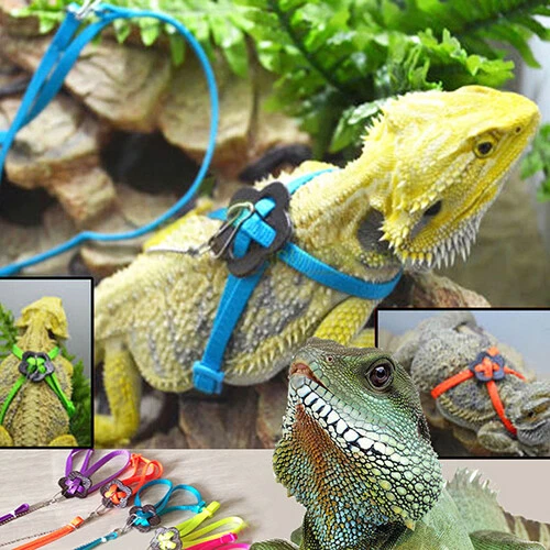 LIZARD TRACTION LEASH Break Free Reptile Great Hardness Lacertid Leash ...