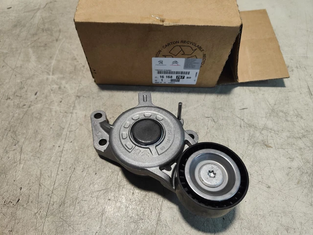 SPANNROLLE KEILRIPPENRIEMEN PEUGEOT 1616876780 9816682480 L 308 SW ...