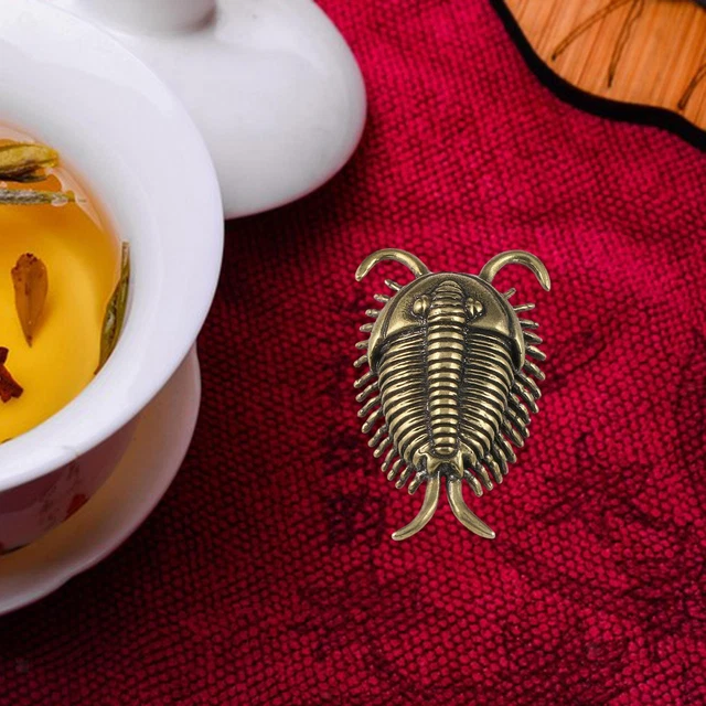ORNEMENT TRILOBITES POUR Enfants, Mini Décor Trilobite Pour étagère De ...