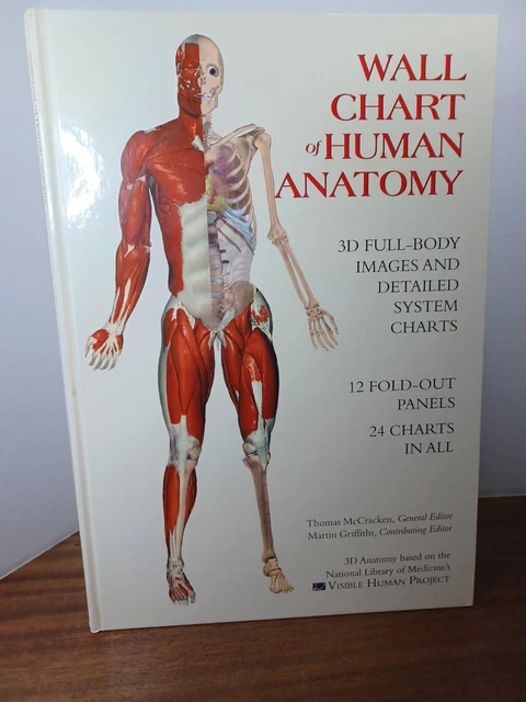 WALL CHART OF Human Anatomy By Hardcover 14 81 PicClick wall-chart-of-human-anatomy-by-hardcover-14-81-picclick