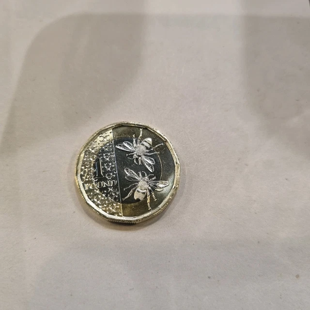 2025 KING CHARLES Bee £1 Coin New Royal Mint £7.04 - PicClick UK