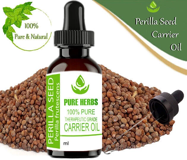 PURE HERBS PERILLA Seed 100% Pure & Natural Perilla Frutescens Carrier ...