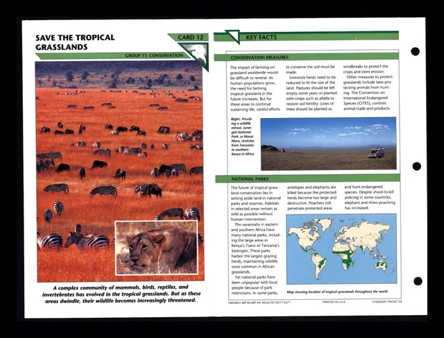 SAVE THE TROPICAL Grasslands Wildlife Fact File Card Conservation Home ...
