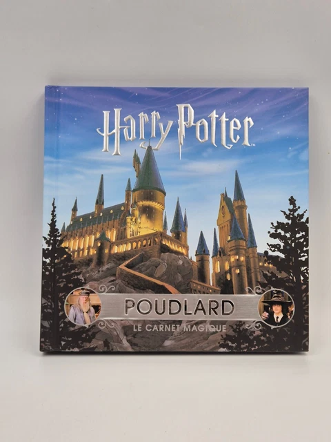 Livre Harry Potter Poudlard Le Carnet Magique Gallimard Jeunesse