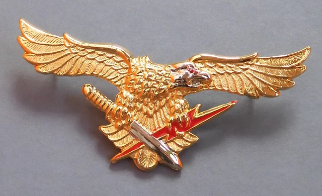 THAI AIR FORCE special operations Commando badge $15.00 - PicClick