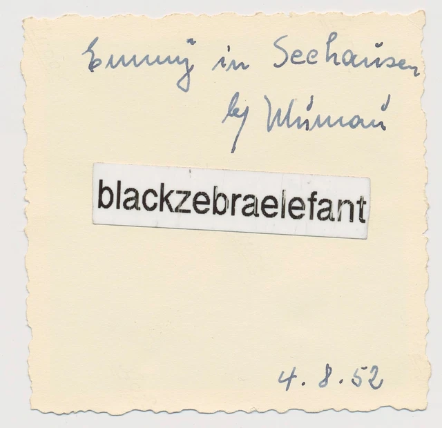 1928 FOTO FRAU in BIKINI mit Ball 1952 EUR 6,66 - PicClick DE