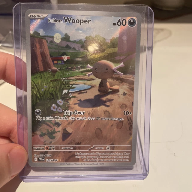 PALDEAN WOOPER 102/094 Phantasmal Flames Pokemon Card TCG Near Mint ...