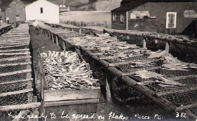 FISH READY TO be Spread on Flakes, Québec, H.V. Henderson, non circulée ...