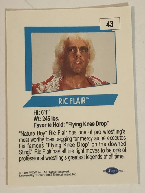 RIC FLAIR WCW Trading Card World Championship Wrestling 1991 #43 EUR 2 ...