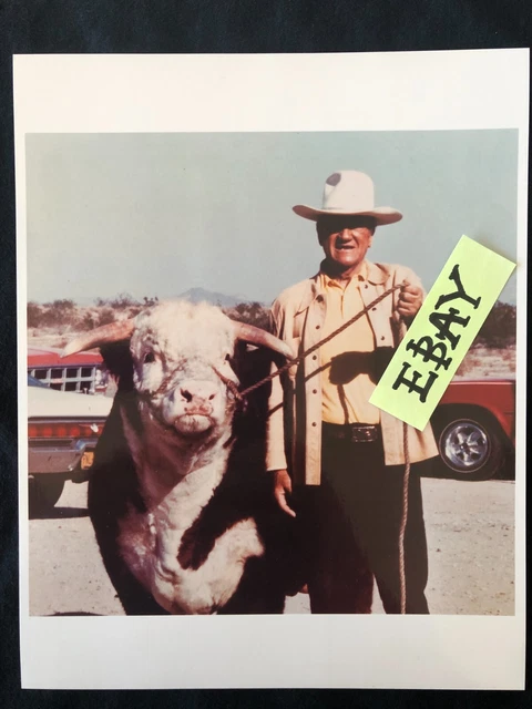 RARE JOHN WAYNE Photo WESTERN Cowboy Candid Cattle Ranch Texas Long ...