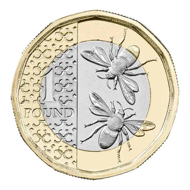2025 BEE £1 ONE POUND COIN LOW MINTAGE 170k FROM SEALED COIN BAG RARE £ ...