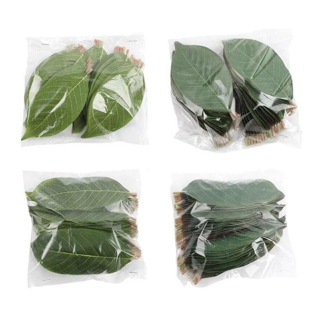 WEDDING MAGNOLIA FAKE Leaves Writable Signature Leaves Book Decor Green ...