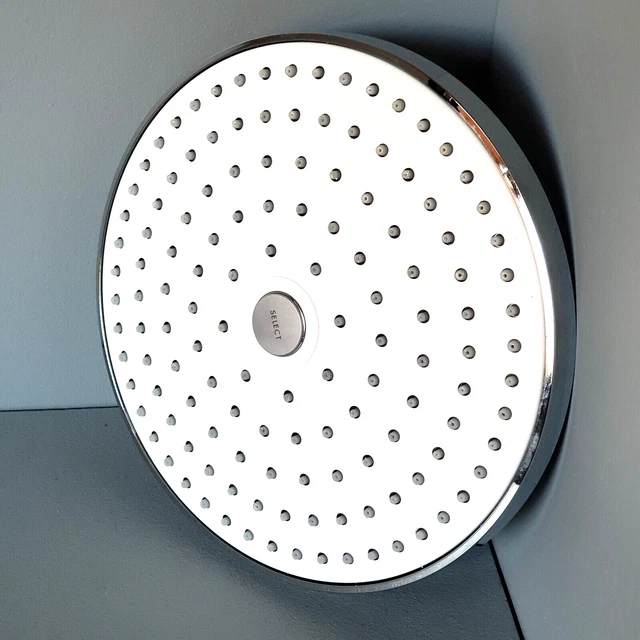 HANS GROHE RAINDANCE Select S Kopfbrause 240 2jet 26466400 Ersatzteil ...