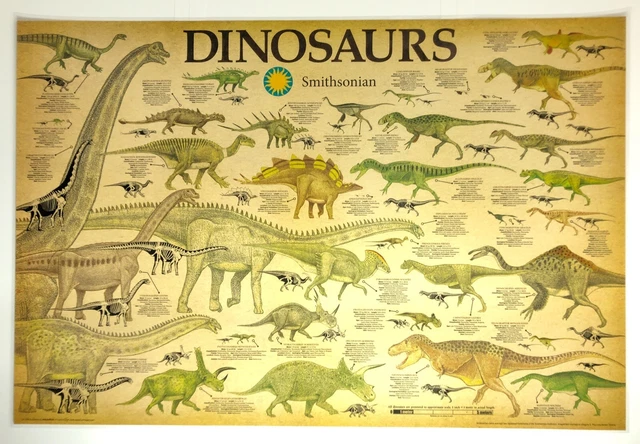 DINOSAURS DINOSAUR TREX T-Rex Poster (61X91Cm) Smithsonian Picture ...