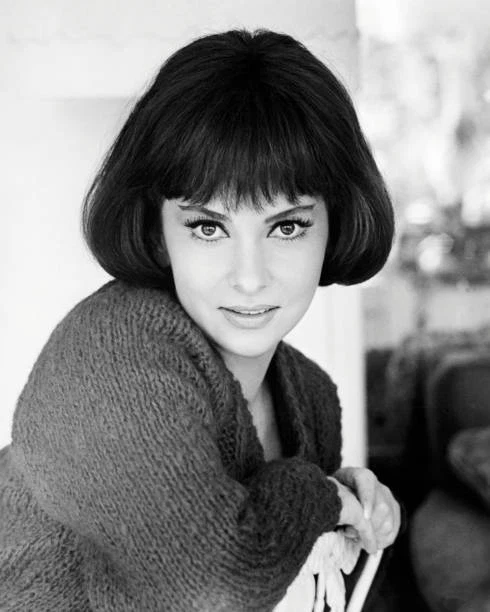 ITALIAN ACTRESS GINA Lollobrigida circa 1955 Historic Old Photo $9.00 ...