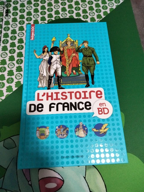 L'HISTOIRE DE FRANCE En BD ( Bayard Jeunesse ) EUR 8,00 - PicClick FR