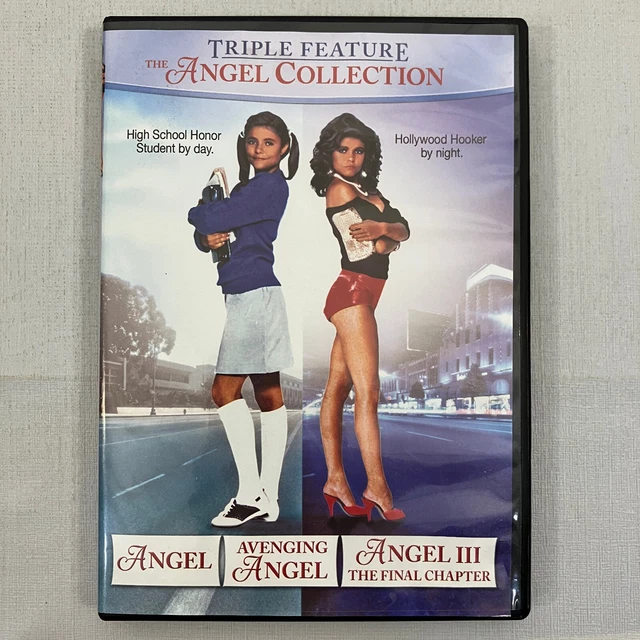TRIPLE FEATURE THE Angel Collection DVD Avenging Final Chapter Wilkes ...