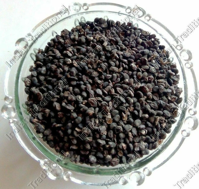 PSORALEA CORYLIFOLIA SEED Babchi Bakuchi Bavachi Beej Seeds 25g -1kg £5 ...
