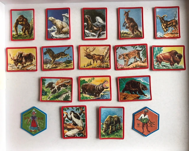 LOT IMAGE PLASTIFIÉE Vignette Collection Écusson Yaourt VITHO Publicité ...