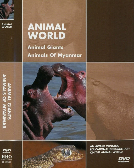 ANIMAL WORLD: ANIMALS Giants Animals Of Myanmar DVD (Region ALL) VGC $8 ...