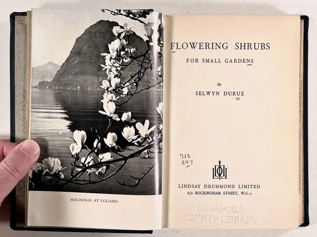 1939 DURUZ FLOWERING SHRUBS FOR SMALL GARDENS landscaping ILLUSTRATED ...