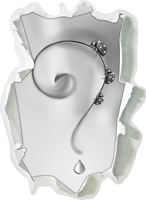 LADYBUG FOLLOW THE Question Mark Art B&W - 3D Look Paper Wall Tattoo ...