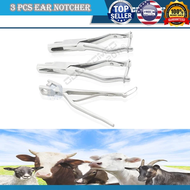 EAR NOTCHER 6& U V O Shape Stainless Hog Goat Lamb Sheep ...