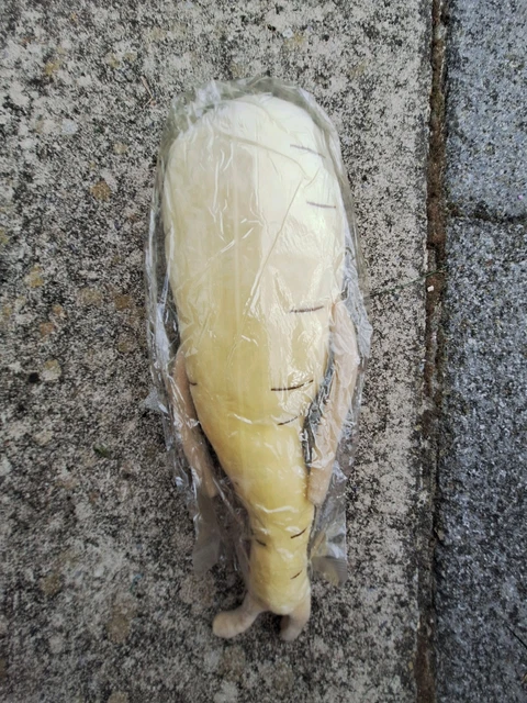 ALDI WICKED PASCAL The Parsnip Kevin The Carrot Christmas Soft Toy £10. ...