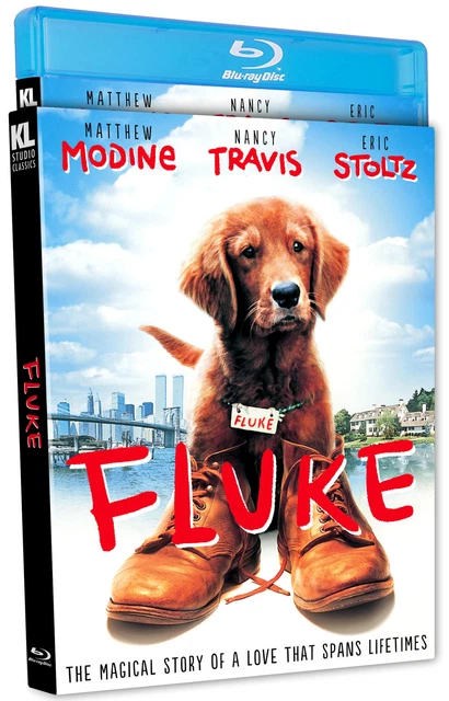 FLUKE (BLU-RAY) MATTHEW Modine Nancy Travis Eric Stoltz EUR 29,92 ...