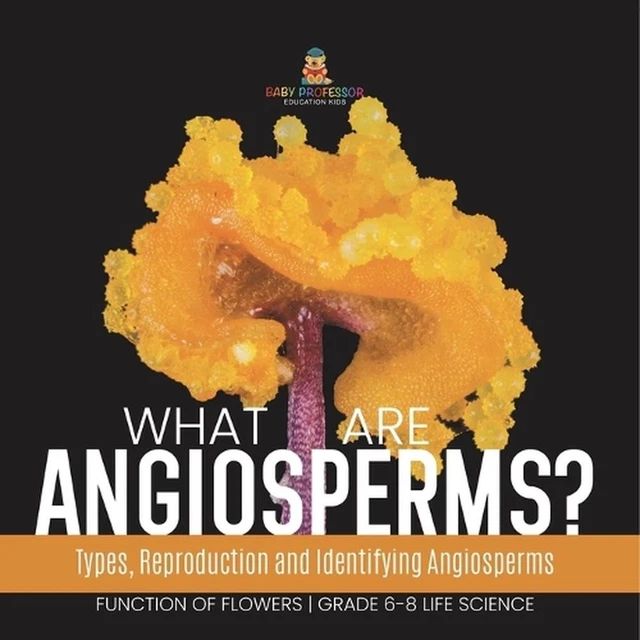 WHAT ARE ANGIOSPERMS? Types, Reproduction and Identifying Angiosperms ...