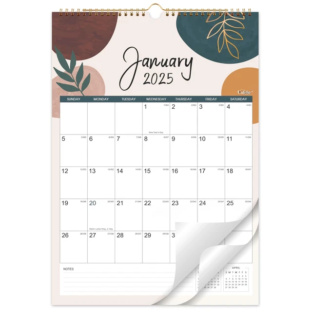 CALENDAR 2025 - JAN 2025 - DEC 2025, 12 Monthly Wall Calendar, 17" x 12 ...