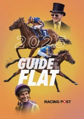 DAVID DEW RACING Post Guide to the Flat 2025 (Poche) EUR 18,13 ...