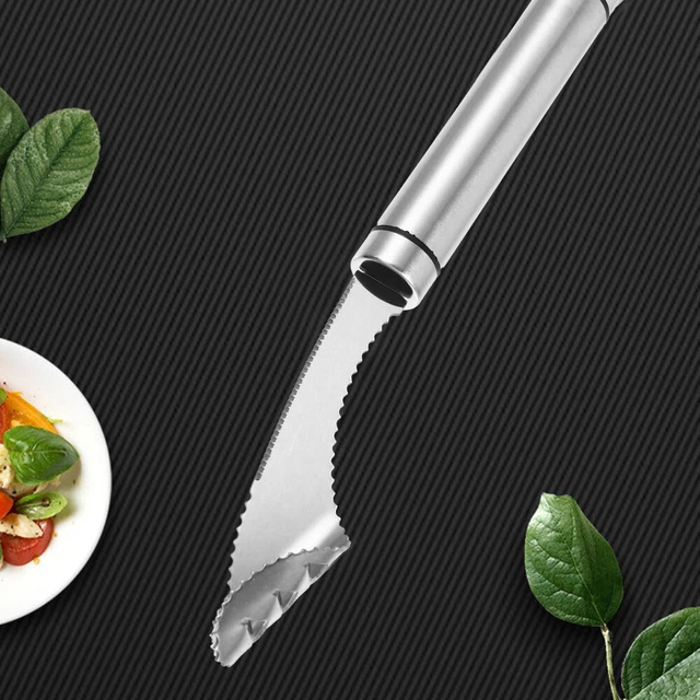 ACIER INOXYDABLE EXTRACTEUR De Noyau Outils Ménagers Gril Gadgets Cuisine EUR 7,15 - PicClick FR