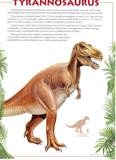 TYRANNOSAURUS REX T-REX Dinosaur Educational Chart Classroom Poster Art ...