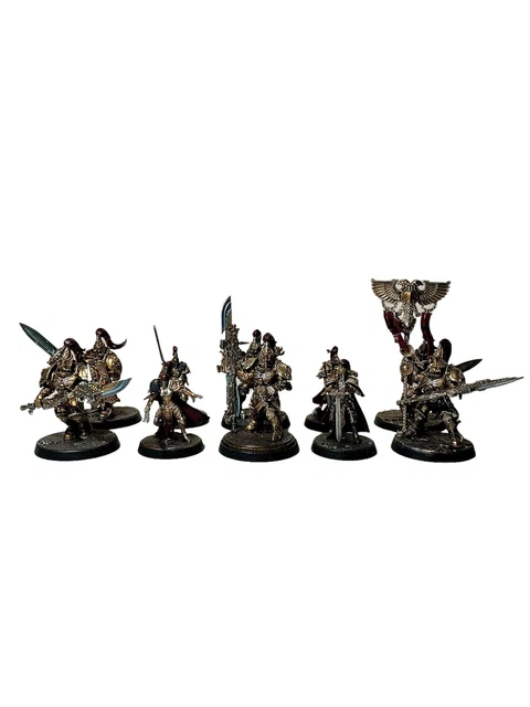 PRO PAINTED WARHAMMER 40K Adeptus Custodes Kill Team Valerian Aleya EUR ...