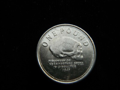 DISCOVERY OF NEANDERTHAL Skull In Gibraltar-One Pound Coin 2009 £29.99 ...
