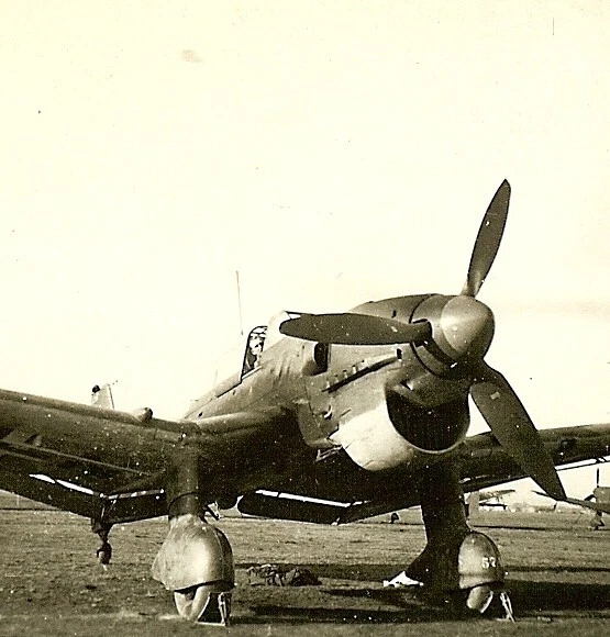**BEST! FRONT VIEW of Luftwaffe Junkers Ju-87 STUKA Bomber on Airfield ...