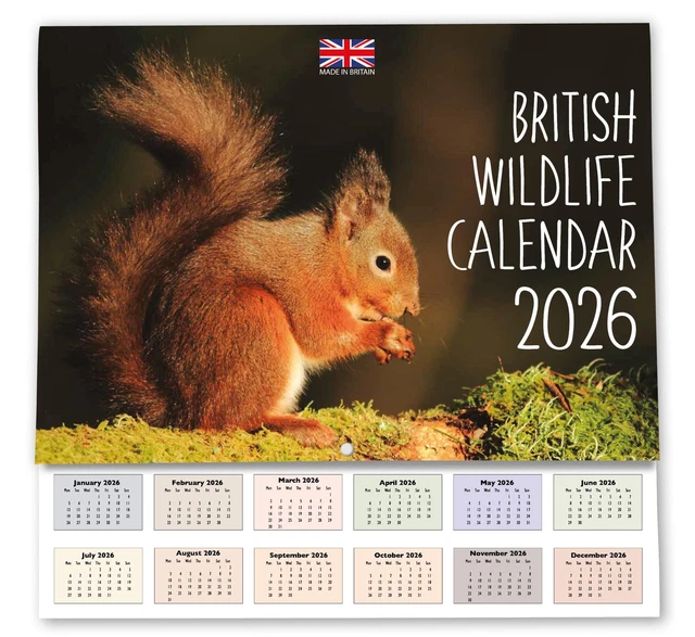 2026 CALENDAR - Calendar 2026 UK British Wildlife. One Month to View ...