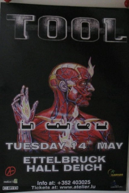 TOOL TOUR 60X84CM Affiche de Concert Originale EUR 80,95 - PicClick FR