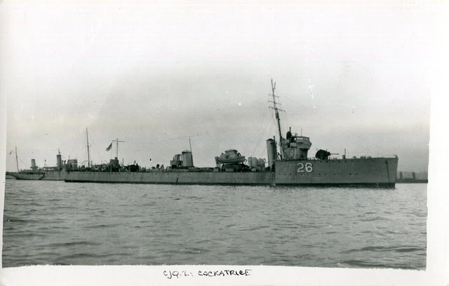 HMS COCKATRICE 1912 Royal Navy WWI Acasta K-class destroyer postcard ...