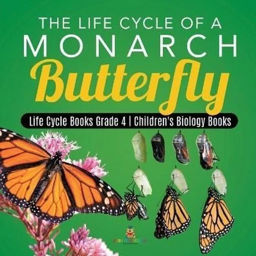 LIFE CYCLE OF a Monarch Butterfly Life Cycle Books Grade 4 Chil ...