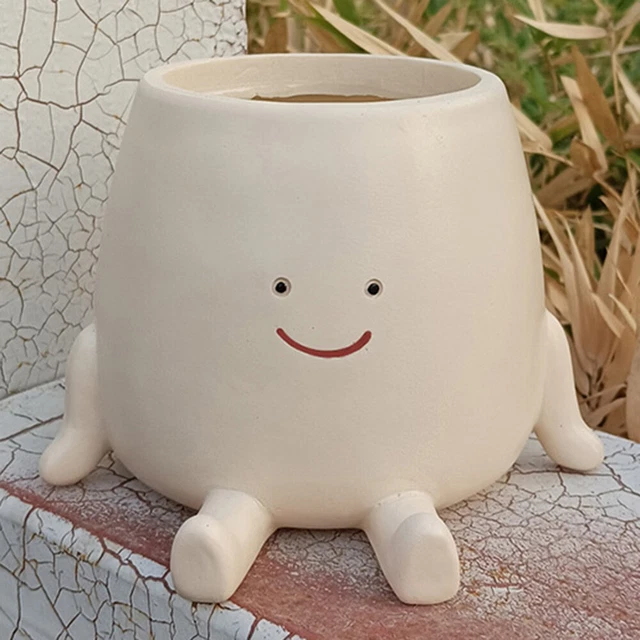 SMILING FACE FLOWER Pot Resin Creative Pots for Indoor Outdoor Plant ...