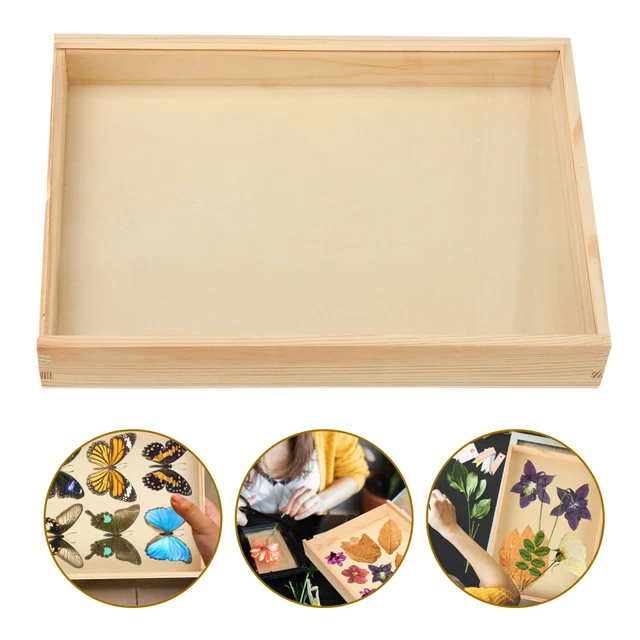 KIT D'ATTRAPE-INSECTES POUR Les Enfants Spécimen De Boite Vintage EUR ...